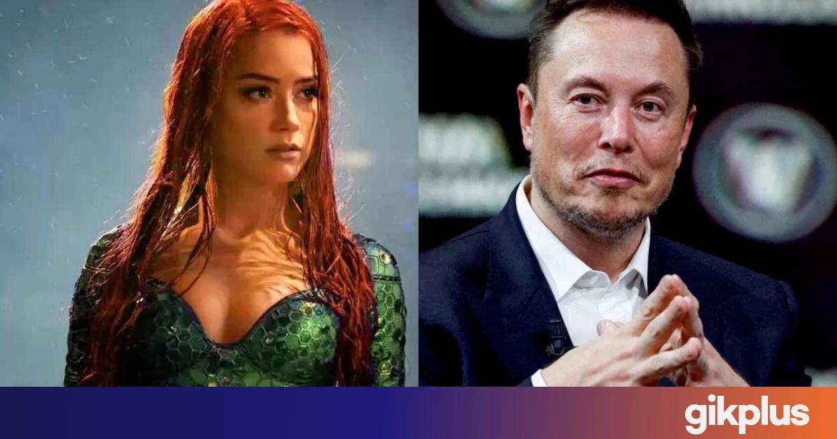 Amber Heard Casi Fue Despedida De Aquaman 2 Hasta Que Elon Musk Intervino